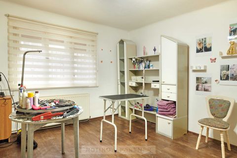 Salon Canin Bella Sibiu | Notino Salony